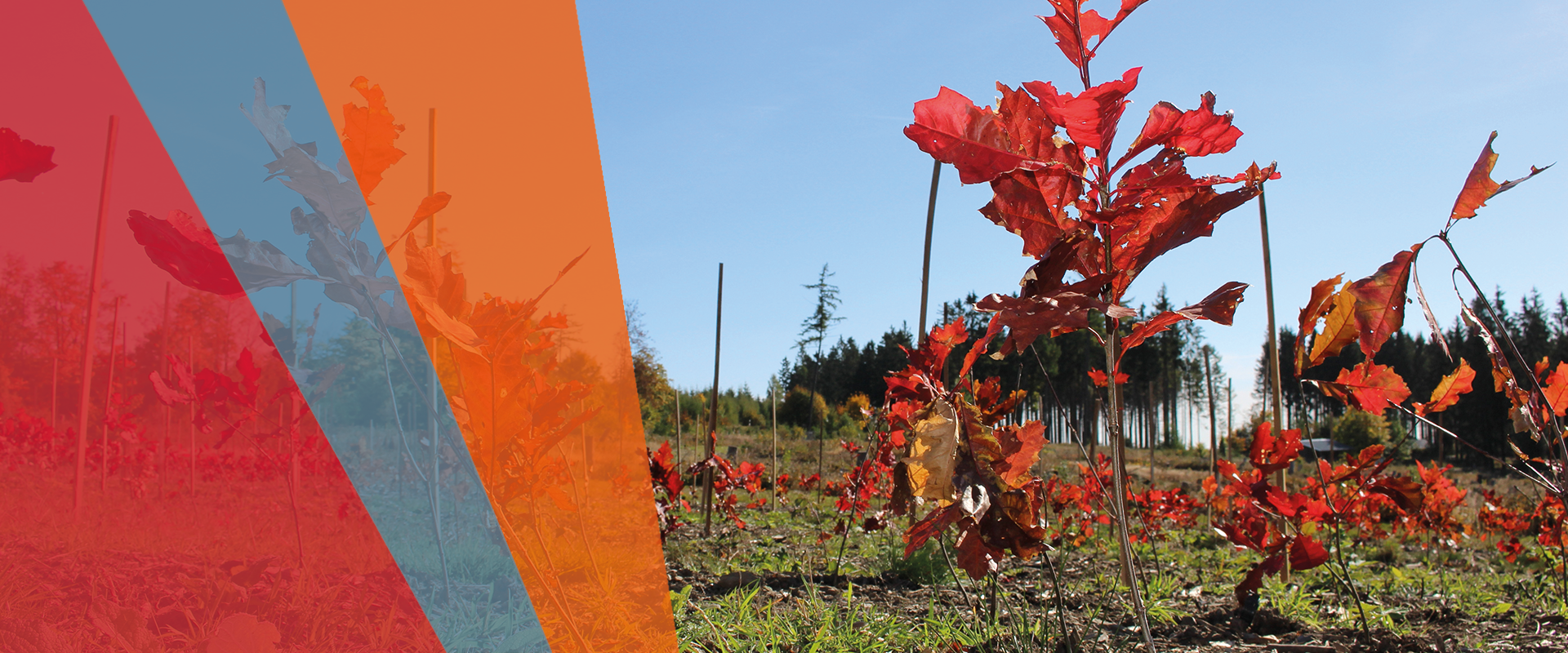 Sustainability | EJOT | EJOT China